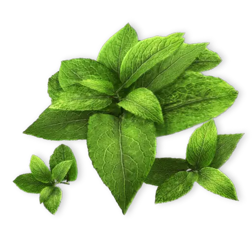 Mint | Lord of the Rings: Return to Moria Wiki | Fandom