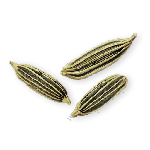 Chive Seeds | Lord of the Rings: Return to Moria Wiki | Fandom