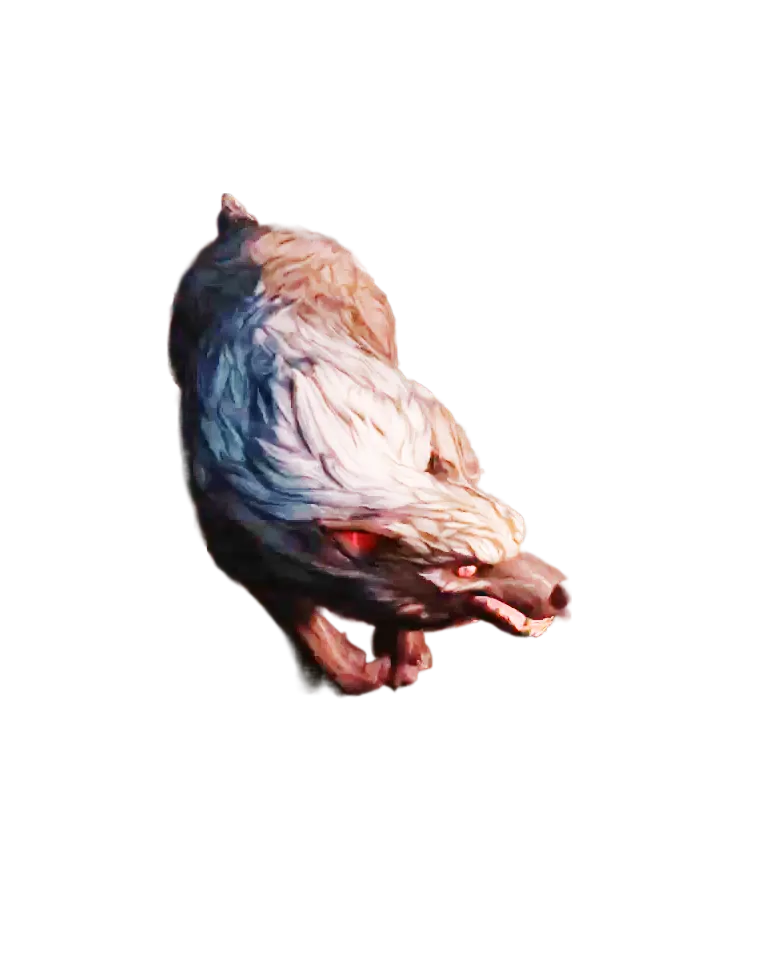 Wolf | Lord of the Rings: Return to Moria Wiki | Fandom