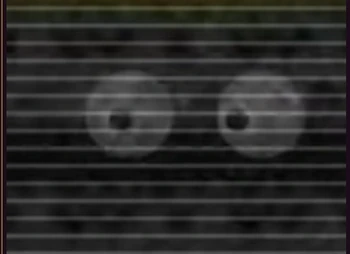 Minor characters | Too kiD frIEndly Wiki | Fandom