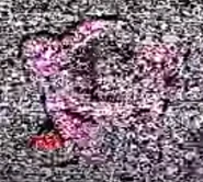 TMK.EXE/Gallery | Too Much Kirby Wiki | Fandom