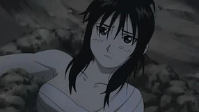 Fullmetal Alchemist: Brotherhood | Toonami Wiki | Fandom