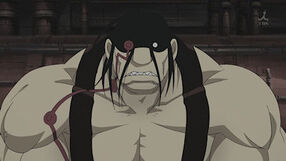 Fullmetal Alchemist: Brotherhood | Toonami Wiki | Fandom