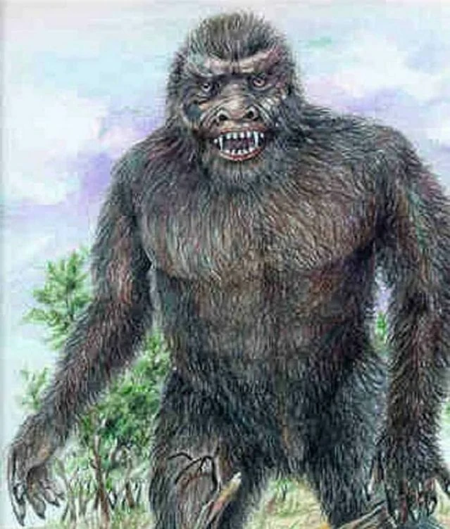 Yowie | Toonboyfans2022 Wiki | Fandom