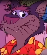 Nandi Bear | Toonboyfans2022 Wiki | Fandom