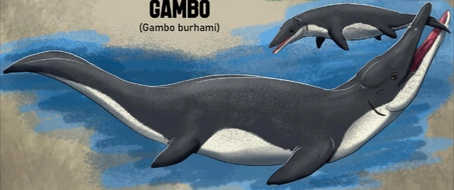 Gambo | Toonboyfans2022 Wiki | Fandom