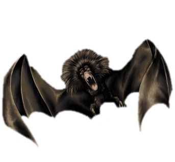 Ahool | Toonboyfans2022 Wiki | Fandom