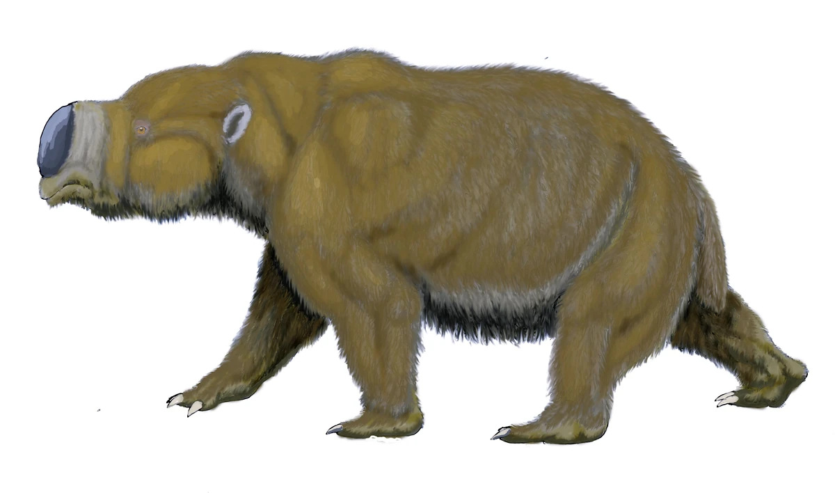 Diprotodon | Toonboyfans2022 Wiki | Fandom