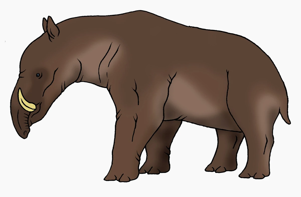 Sukotyro | Toonboyfans2022 Wiki | Fandom