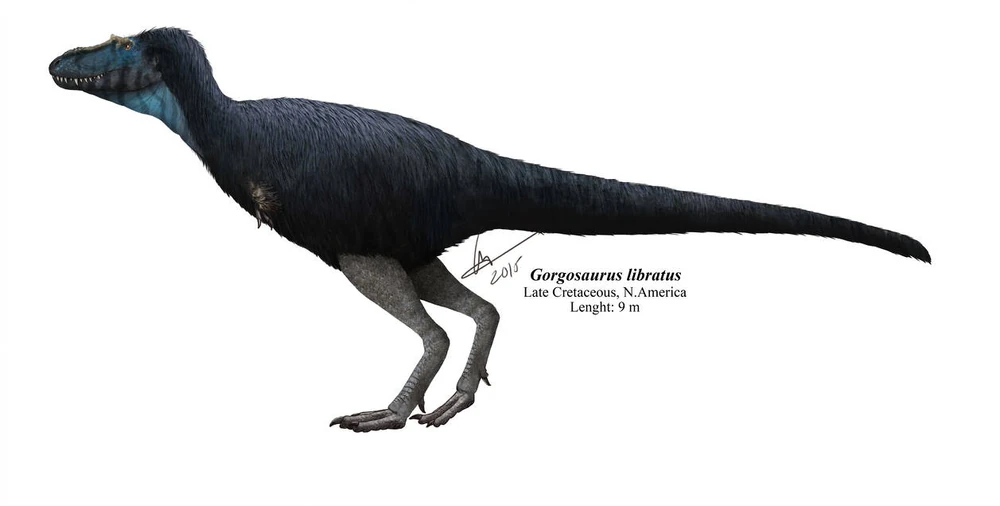 Gorgosaurus | Toonboyfans2022 Wiki | Fandom Gorgosaurus | Toonboyfans2022 Wiki | Fandom