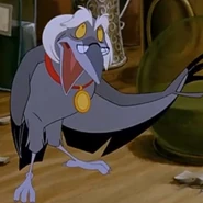 Harpy | Toonboyfans2022 Wiki | Fandom