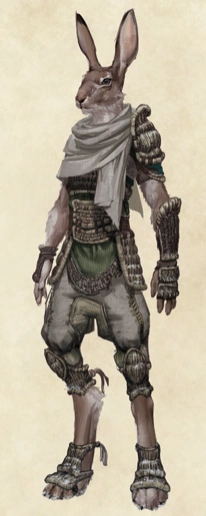 Rabbitfolk | ToonCity Wiki | Fandom