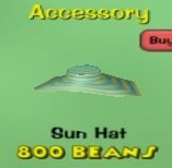 Sun Hat | Toontown Wiki | Fandom