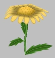 Daisy (flower) | Toontown Wiki | Fandom