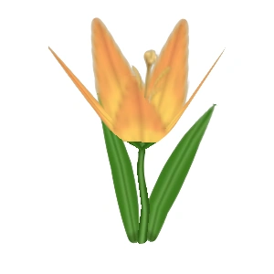 Category:Flowers | Toontown Rewritten Wiki | Fandom