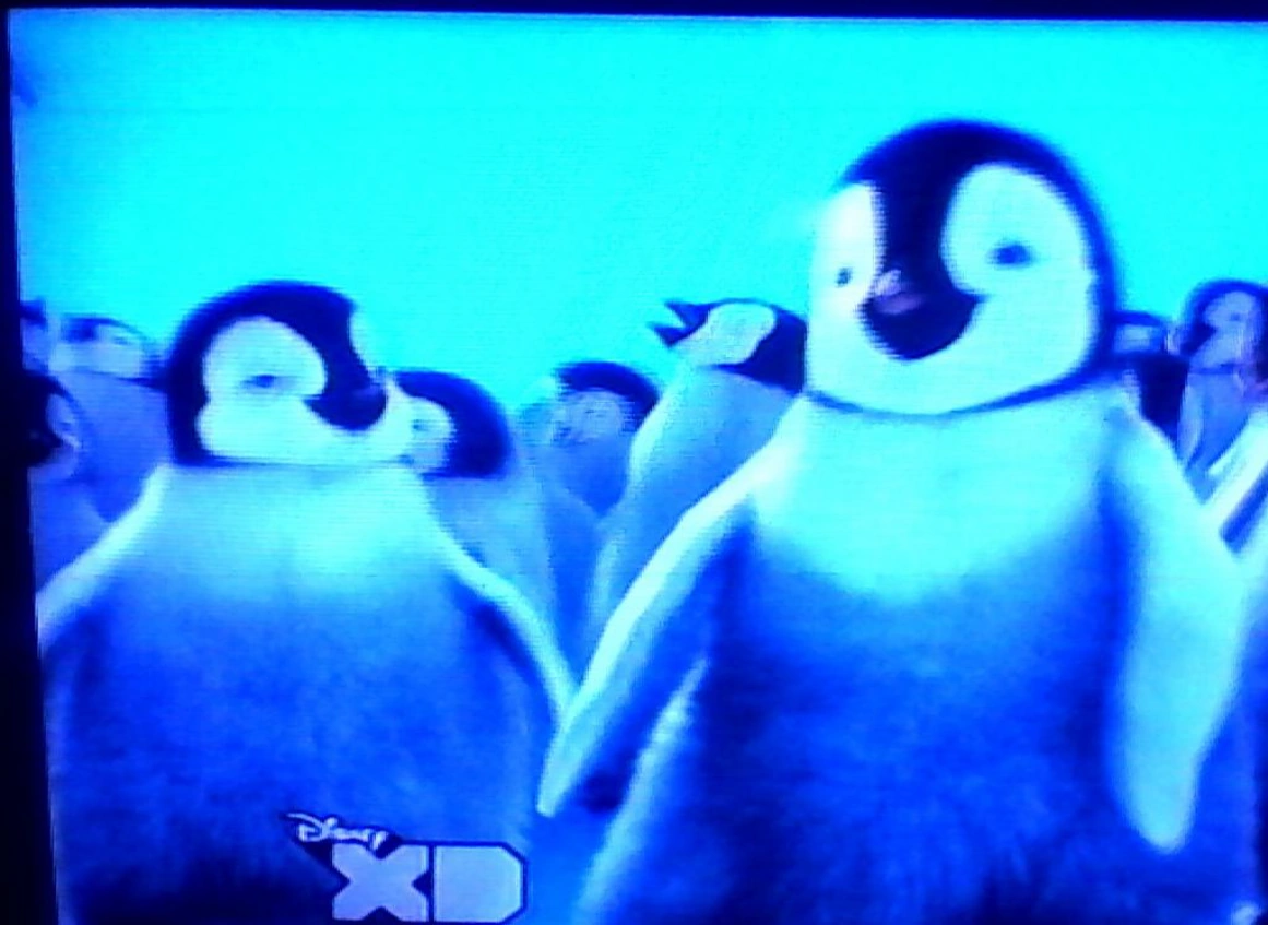 October 11, 2014 | Toon Disney/Disney XD Broadcast Archives Wiki | Fandom