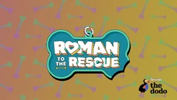 Roman to the Rescue | Toon Disney/Disney XD Broadcast Archives Wiki ...