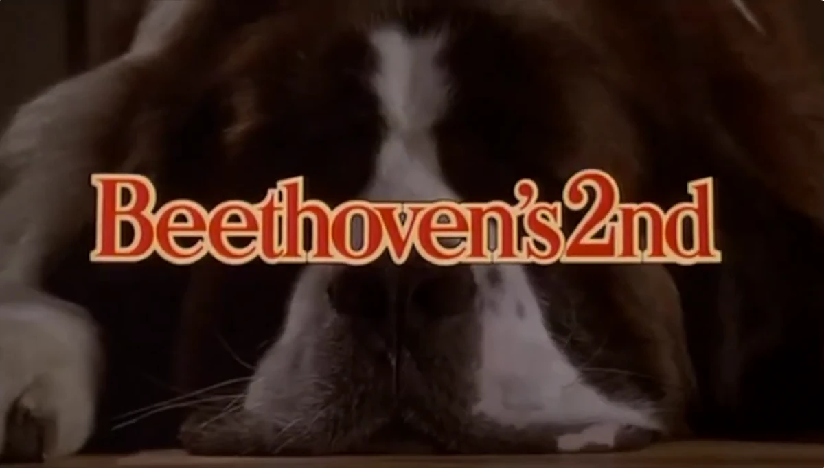 Beethoven's 2nd | Toon Disney/Disney XD Broadcast Archives Wiki | Fandom