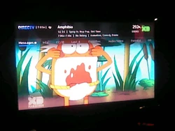 September 1, 2021 | Toon Disney/Disney XD Broadcast Archives Wiki | Fandom