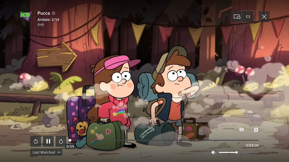 February 14, 2020 | Toon Disney/Disney XD Broadcast Archives Wiki | Fandom