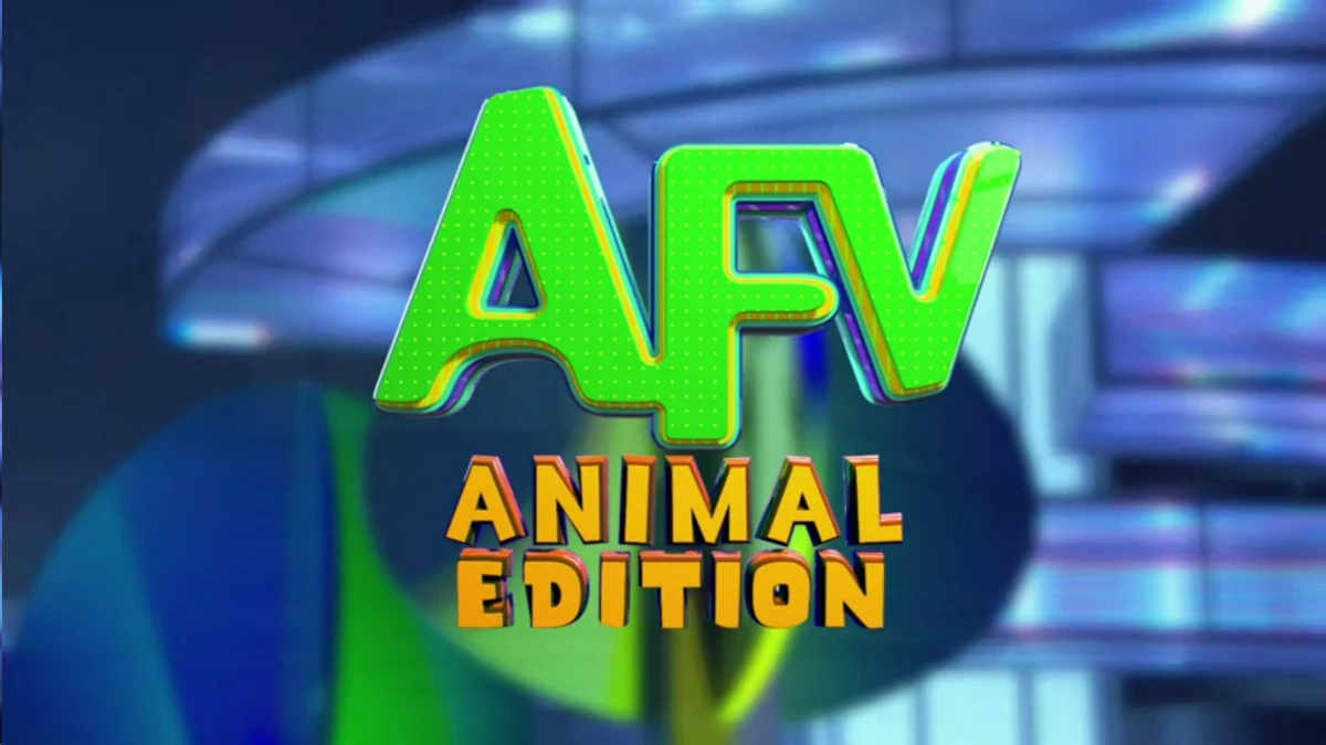 America's Funniest Home Videos: Animal Edition | Toon Disney/Disney XD Broadcast Archives Wiki ...