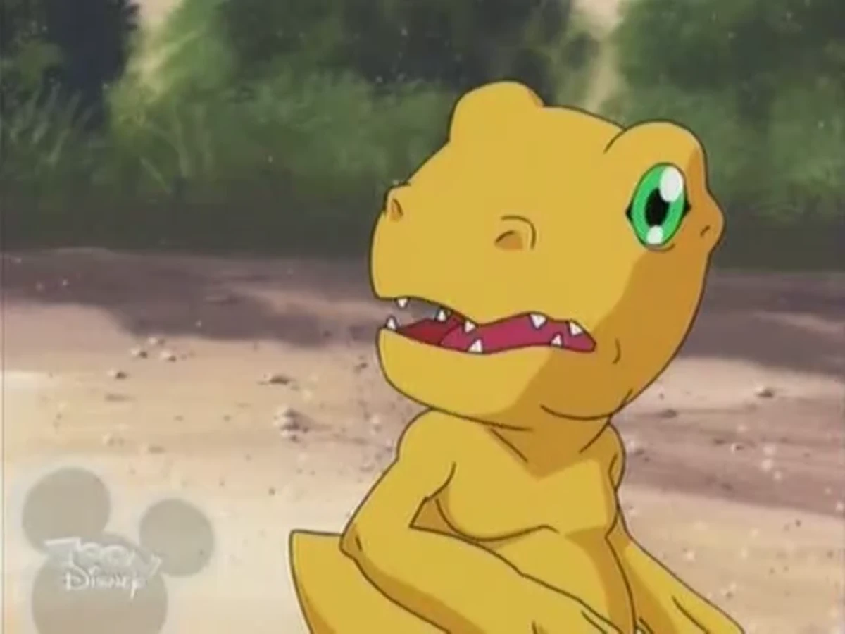 September 15, 2005 | Toon Disney/Disney XD Broadcast Archives Wiki | Fandom