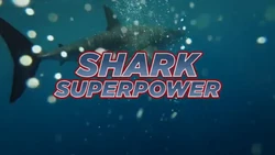 Shark Superpower | Toon Disney/Disney XD Broadcast Archives Wiki | Fandom