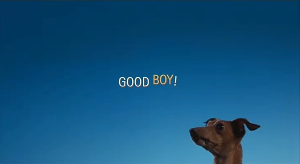Good Boy! | Toon Disney/Disney XD Broadcast Archives Wiki | Fandom