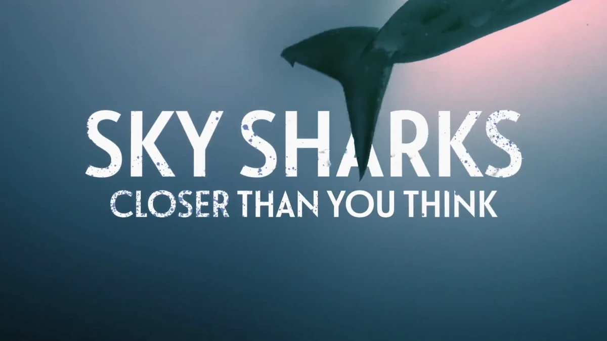 Sky Sharks | Toon Disney/Disney XD Broadcast Archives Wiki | Fandom