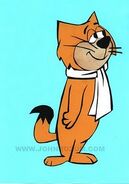 Fancy-Fancy/Gallery | Top Cat Wiki | Fandom