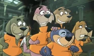 Characters | Top Cat Wiki | Fandom