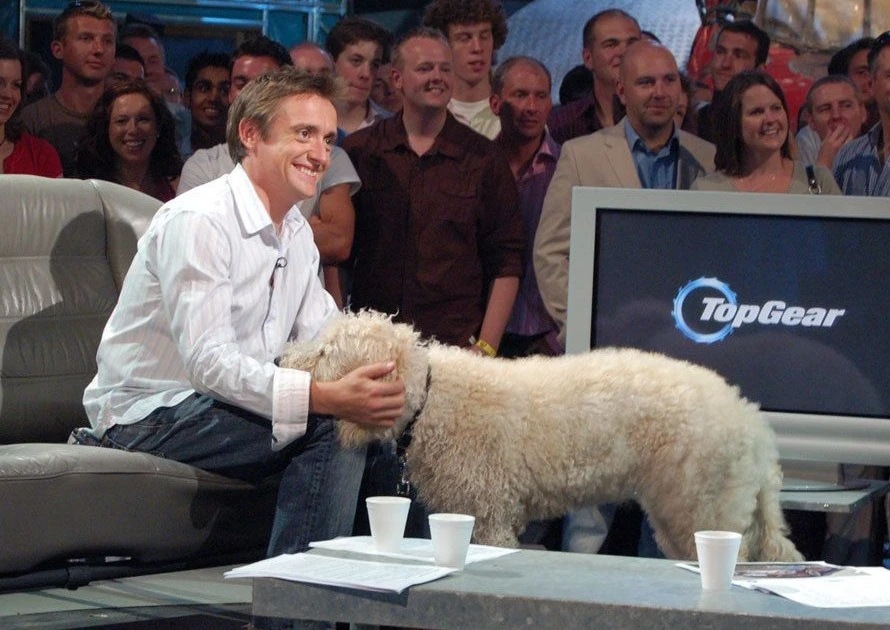 Top Gear Dog | Top Gear Wiki | Fandom