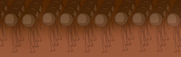 Wiki Organization Page Template | The Toppat Submarine Division Wiki ...