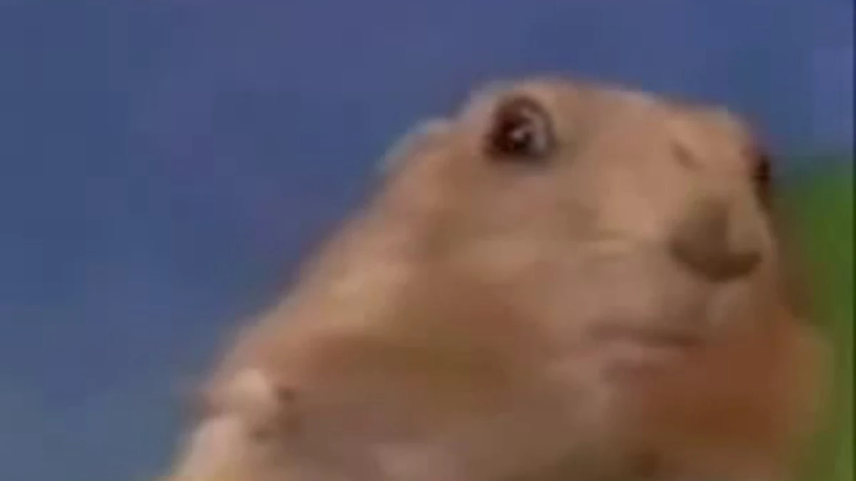 Dramatic Chipmunk | Toppy's Eleven Wiki | Fandom