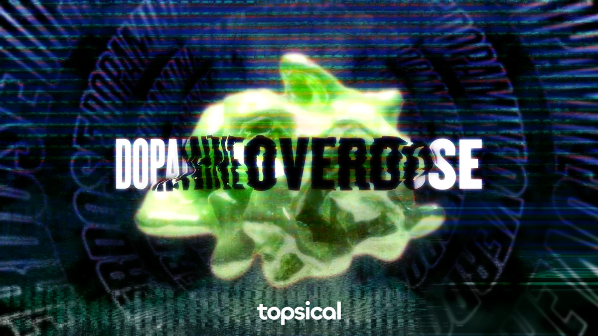 Edition 8 | Topsical Wiki | Fandom