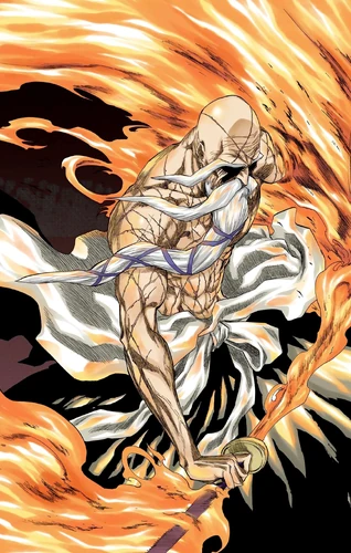 Genryuusai Shigekuni Yamamoto | Top-Strongest Wikia | Fandom