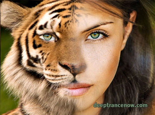 Shapeshifting | Top-Strongest Wikia | Fandom