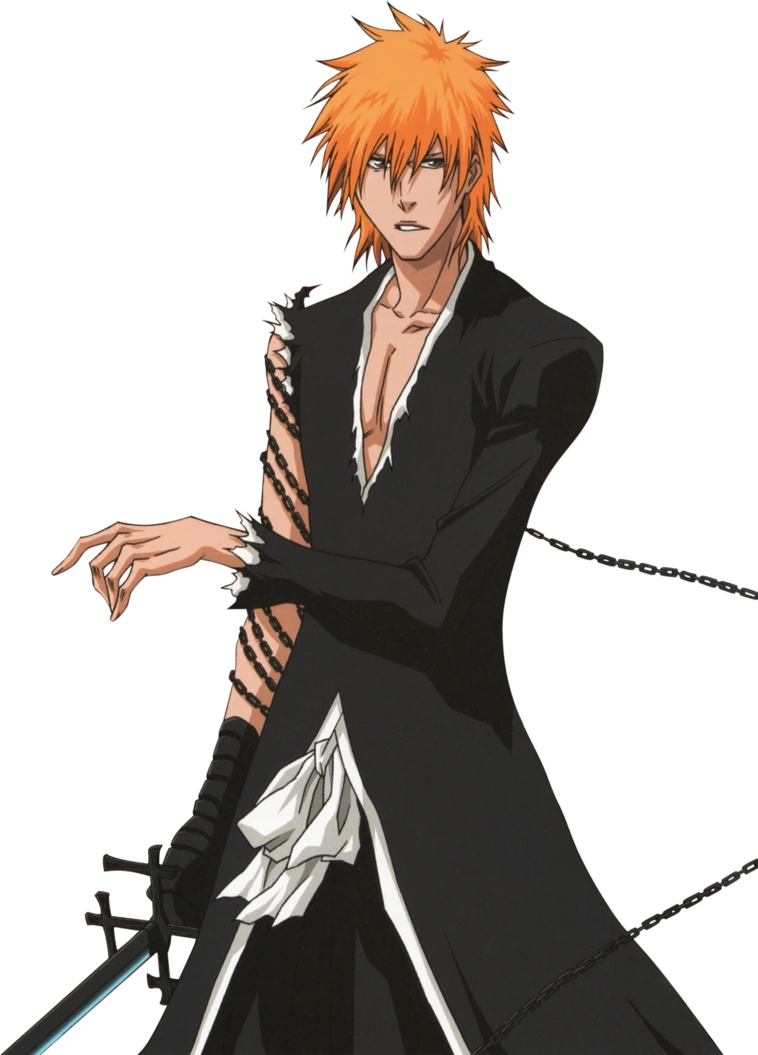 Bleach Time Skip Ichigo