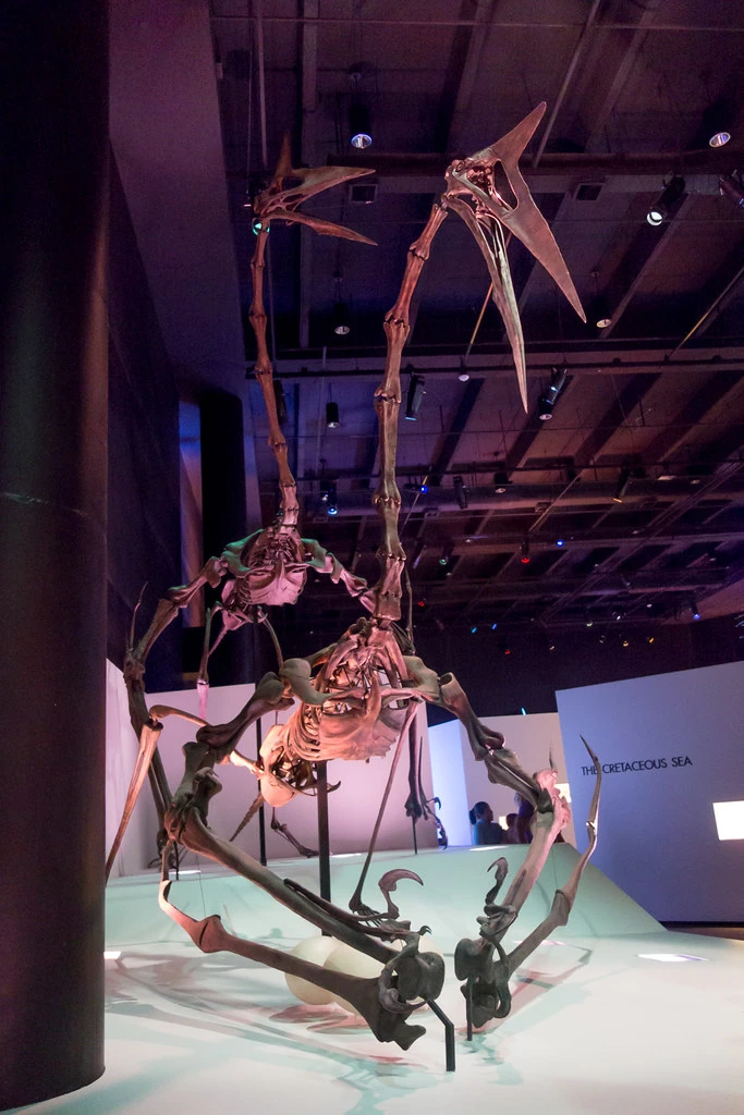 Entity 188 | Top-Strongest Wikia | Fandom