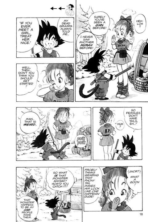 User blog:RedRibbon1/Roshi’s moon busting feat is consistent | Top ...