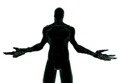 The Walrider | Top-Strongest Wikia | Fandom