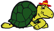 Speedy the Turtle | Topsy's World of Animals Wiki | Fandom