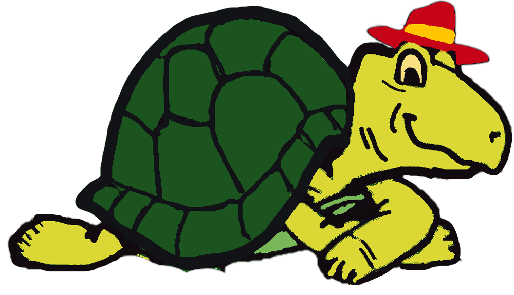 Speedy the Turtle | Topsy's World of Animals Wiki | Fandom