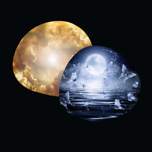 Torata Wiki | Fandom