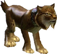 Cat | Torchlight Wiki | Fandom