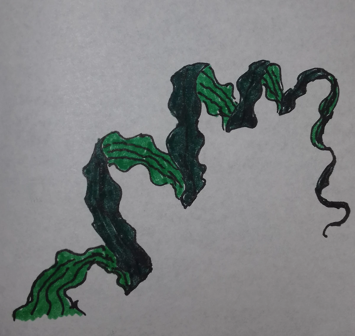 Springeater Seaweed | Toriko Fan Fiction Wiki | Fandom