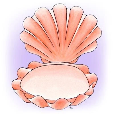 Coffer Clam | Toriko Fan Fiction Wiki | Fandom
