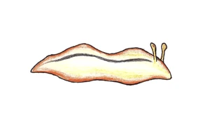 Volcano Slug | Toriko Fan Fiction Wiki | Fandom