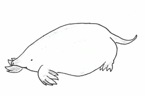 Pearl Mole | Toriko Fan Fiction Wiki | Fandom