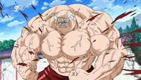 Full Power Form | Toriko Fan Fiction Wiki | Fandom